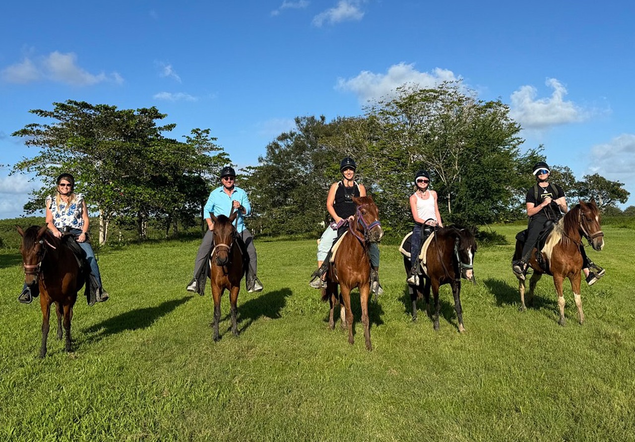 1-Hour San Juan Fields Horseback Riding Adventure | San Juan Tours